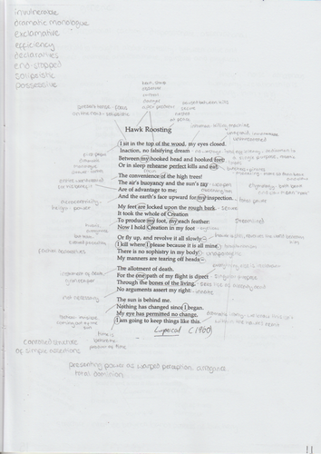 Ted Hughes - Hawk Roosting | Teaching Resources
