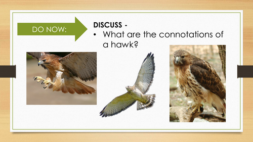 Ted Hughes - Hawk Roosting | Teaching Resources