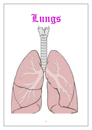 Lungs | Teaching Resources