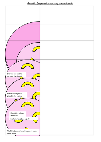 Genetic engineering | Teaching Resources