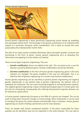 Genetic engineering | Teaching Resources