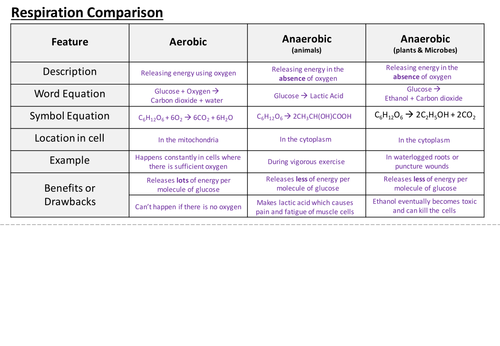 Respiration GCSE Cut and Stick and questions - compares aerobic ...