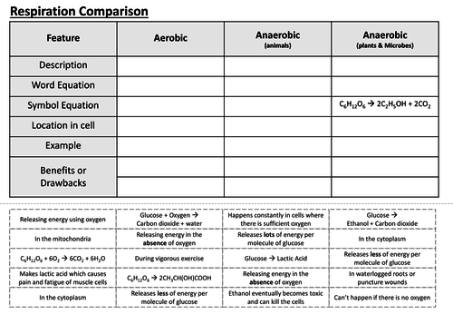 Respiration GCSE Cut and Stick and questions - compares aerobic ...