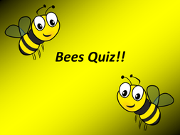 Bees quiz! | Teaching Resources