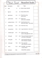 Wind - Beaufort Scale | Teaching Resources