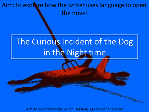 Curious INcident of the Dog in the NIght time (novel) lessons ...