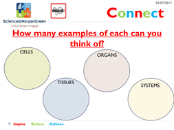 Year 7 - Organ Systems - Mapped to AQA GCSE Biology | Teaching Resources