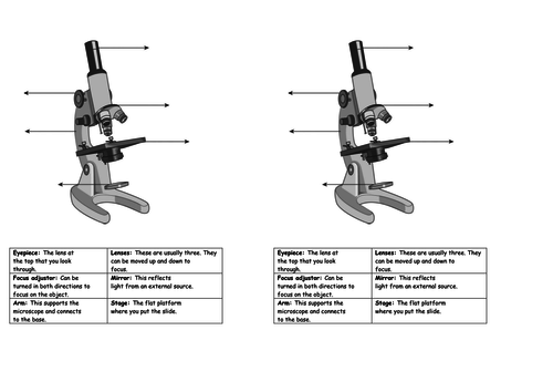 KS3 Animal and Plant cells with microscopes lesson | Teaching Resources