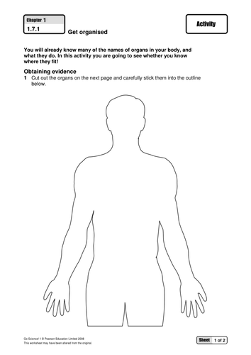 KS3 body systems | Teaching Resources