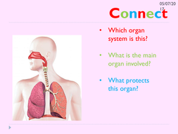 KS3 Gas exchange | Teaching Resources