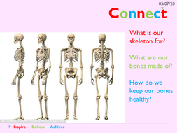 KS3 Skeleton lesson | Teaching Resources