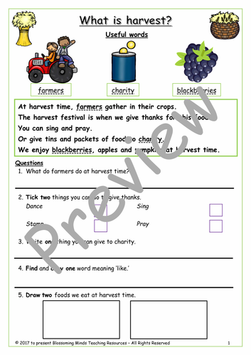 Harvest comprehensions Year 1 | Teaching Resources