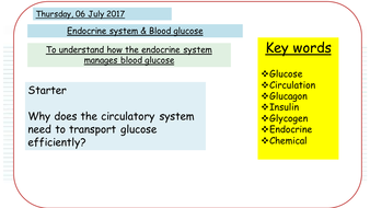 Endocrine system NEW AQA GCSE | Teaching Resources