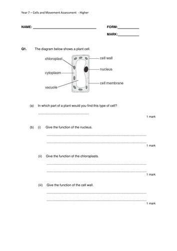 Year 7 -Cells and Movement Assessments - Foundation and Higher with ...