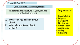 DNA structure & Protein synthesis - New AQA GCSE | Teaching Resources