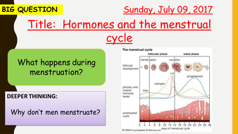AQA new specification-Hormones and the menstrual cycle-B11.6 | Teaching ...