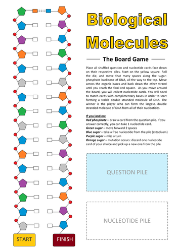Biological Molecules - The Board Game (a fun game covering all aspects ...