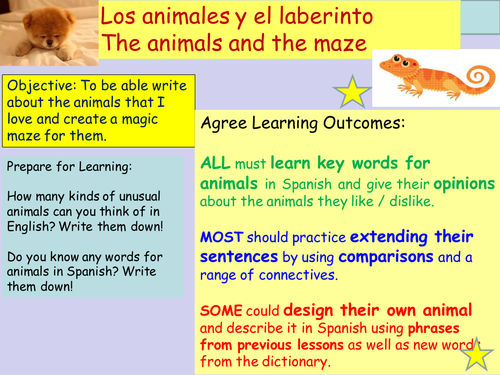 KS3 Spanish: Easy Cover Lesson on Animals with Design your own Maze ...