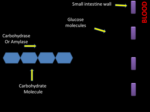KS3 Activate Science 2 Health and Lifestyle lesson 5 Enzymes | Teaching ...