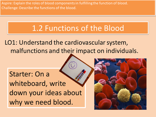 Function of Blood Health and Social Care Cambridge Technicals Level 3 ...