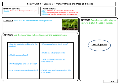 AQA GCSE Biology - Bioenergetics - Photosynthesis and uses of glucose ...