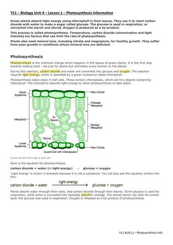 AQA GCSE Biology - Bioenergetics - Photosynthesis and uses of glucose ...