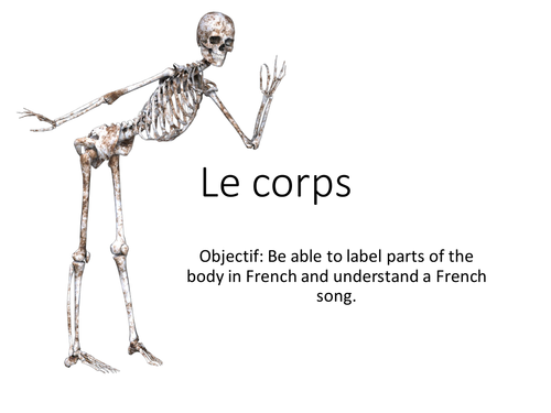 Le corps - Body parts revision and video task | Teaching Resources