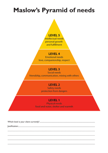 Health and Social Care - care needs of older adult life stage ...