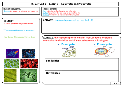 AQA GCSE Biology - Cell Biology - Eukaryotic and Prokaryotic Cells ...