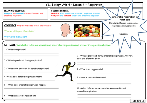 AQA GCSE Biology - Respiration | Teaching Resources