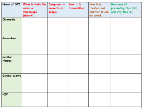 STIs + Contraception UNIT | Teaching Resources