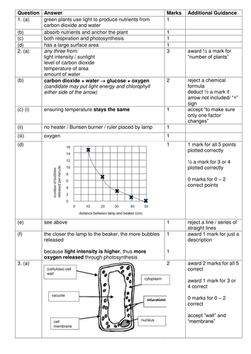 Photosynthesis END OF UNIT TEST | Teaching Resources