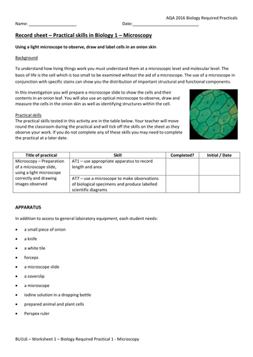 AQA GCSE Biology - Cell Biology - Required Practical 1 - Microscopy ...