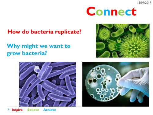 AQA GCSE Biology - Culturing Microorganisms | Teaching Resources