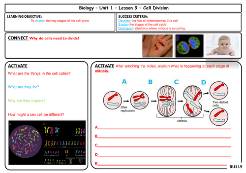 AQA GCSE Biology - Cell Biology - Cell Division | Teaching Resources