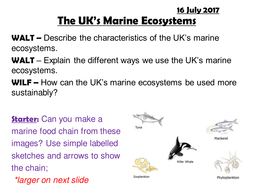 EDEXCEL A; ECOSYSTEMS; The UK's Marine Ecosystems | Teaching Resources