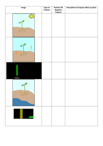 New Biology A Level OCR 5.5.1 Plant responses to the environment ...