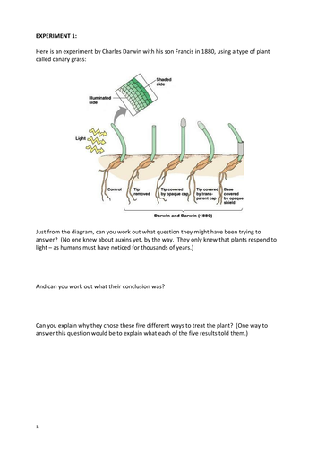 New Biology A Level OCR 5.5.3 Plant responses: Investigating tropisms | Teaching Resources