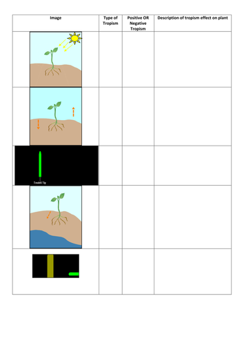 New Biology A Level OCR 5.5.3 Plant responses: Investigating tropisms ...