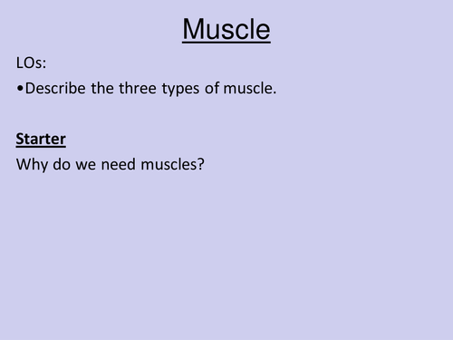 New Biology A Level OCR 5.5.10 Muscle | Teaching Resources