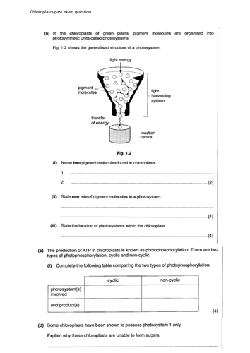 New Biology A Level OCR 5.6.3 The light dependent stage | Teaching ...