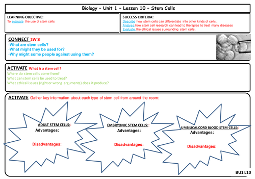 New Spec AQA GCSE Biology - Cell Biology - Stem Cells | Teaching Resources New Spec AQA GCSE Biology - Cell Biology - Stem Cells | Teaching Resources