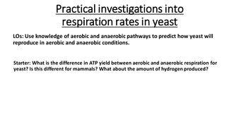 New Biology A Level OCR 5.7.7 Practical investigations into respiration ...