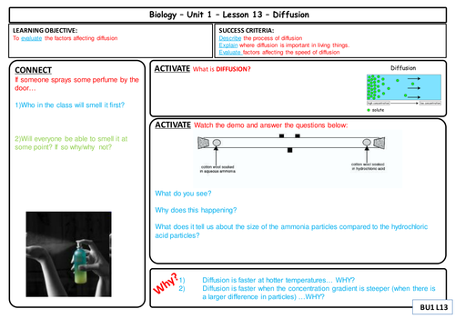 New Spec AQA GCSE Biology - Cell Biology - Diffusion | Teaching Resources