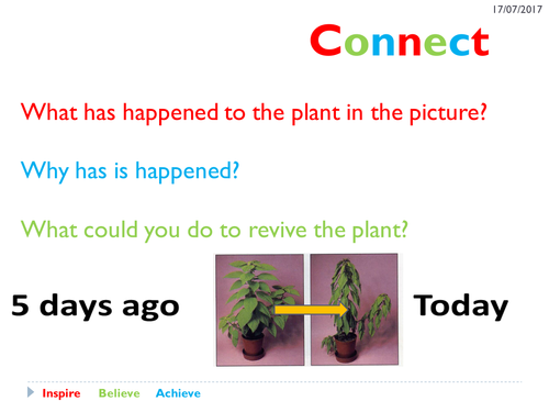 New Spec AQA GCSE Biology - Cell Biology - Osmosis | Teaching Resources New Spec AQA GCSE Biology - Cell Biology - Osmosis | Teaching Resources