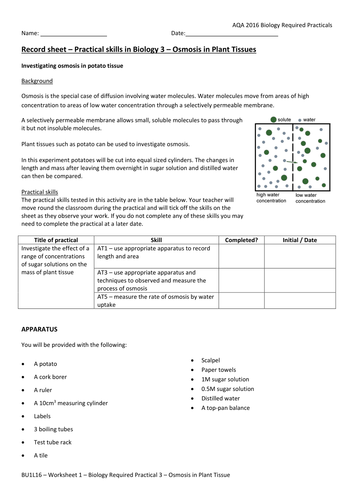 New Spec AQA GCSE Biology - Cell Biology - Osmosis Required Practical ... New Spec AQA GCSE Biology - Cell Biology - Osmosis Required Practical ...