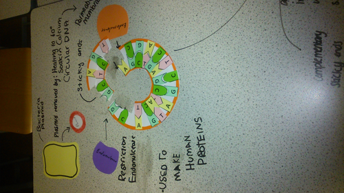 New OCR A2 Biology Genetic Engineering Lesson | Teaching Resources