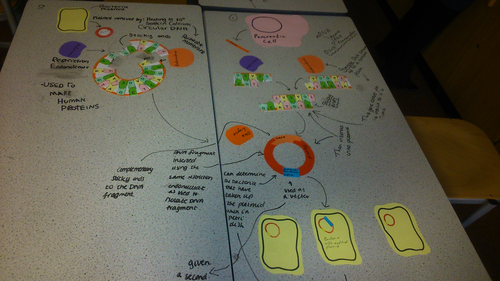 New OCR A2 Biology Genetic Engineering Lesson | Teaching Resources
