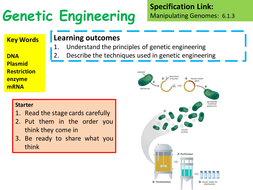 New OCR A2 Biology Genetic Engineering Lesson | Teaching Resources