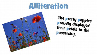 Alliteration Posters | Teaching Resources